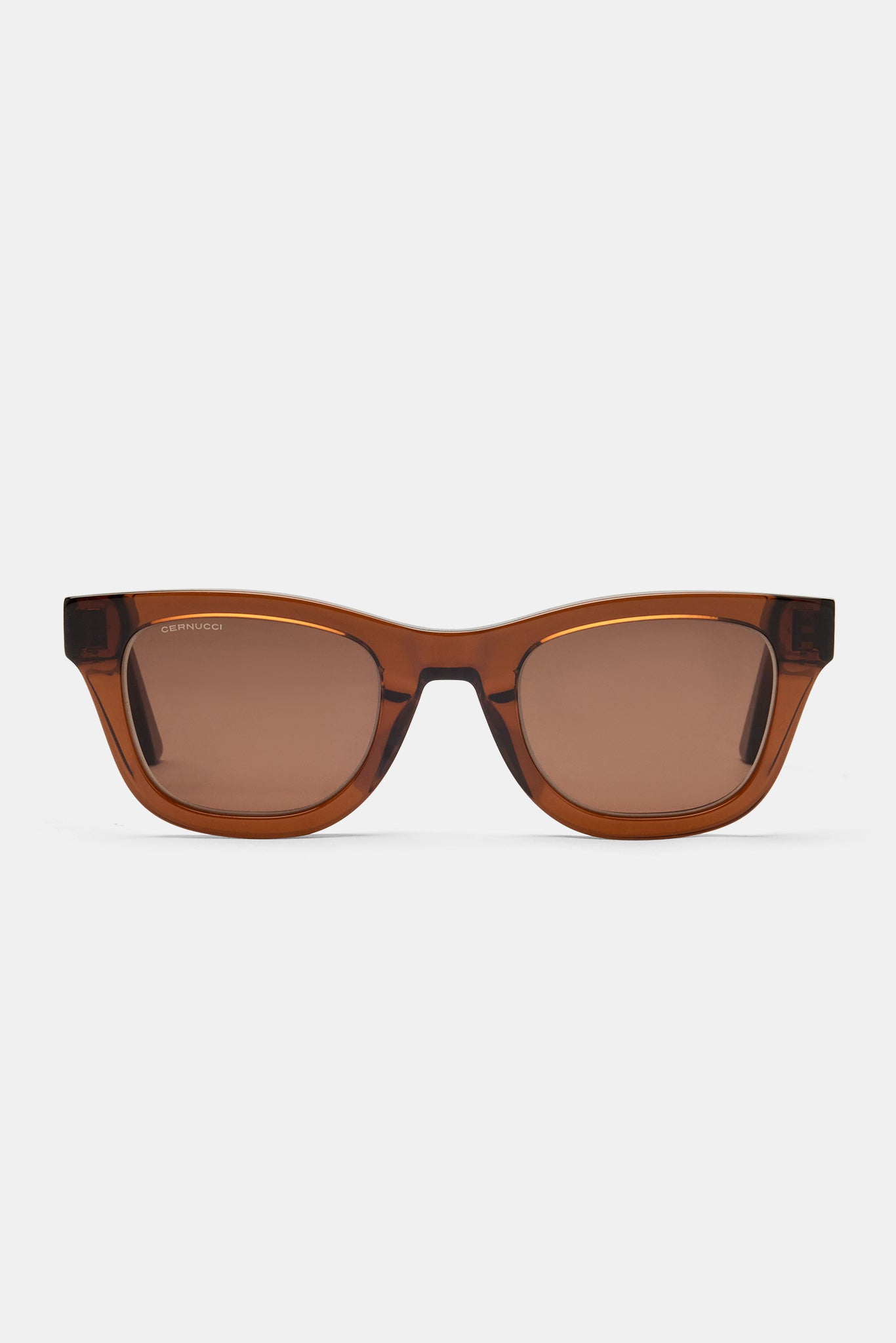 Rounded Square Acetate Frame Sunglasses - Brown | Mens Accessories ...