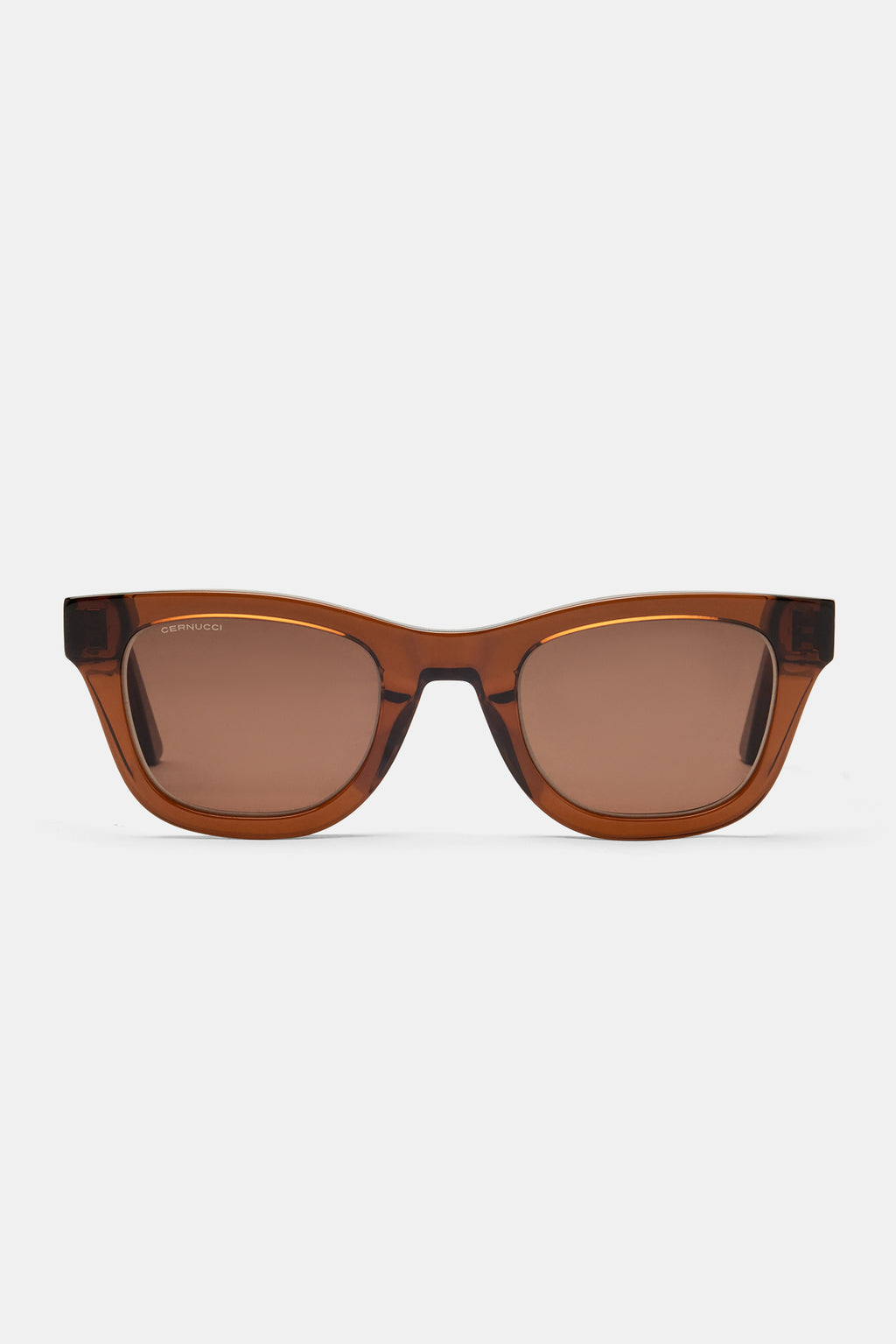 Rounded Square Acetate Frame Sunglasses - Brown | Mens Accessories ...